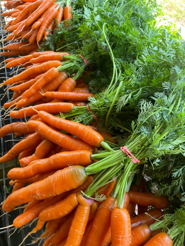 Carrots Bunch or bag – Mad Farmers Indy - Produce